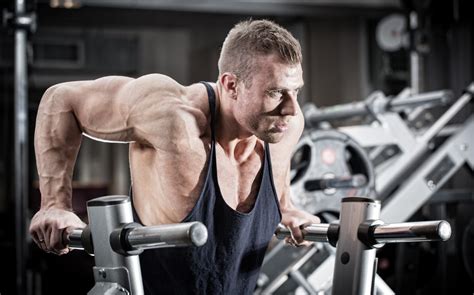 Weighted Parallel Bar Dips How To Benefits Muscles Worked Variations