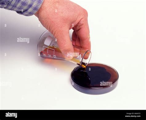 Iodine Starch Hi Res Stock Photography And Images Alamy
