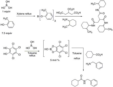 Organic Syntheses Procedure