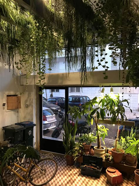 Canopy Plant Ceiling Vertical Garden Design