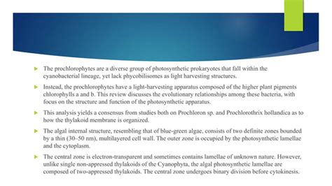 Introduction To Algae Ppt Pptx