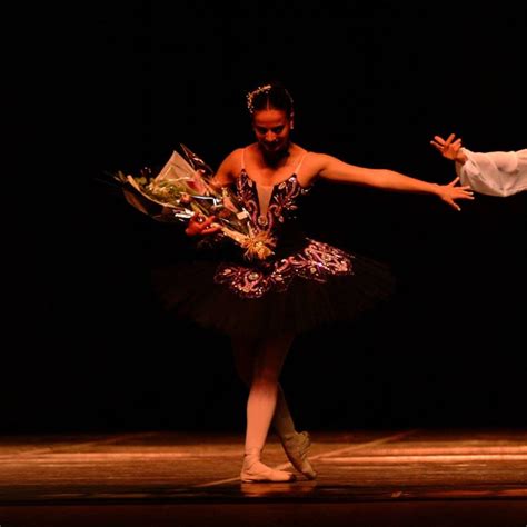 Artisan Ballet Você Tem Curiosidade Em Saber Como é A Rotina De Uma Bailarina Profissional