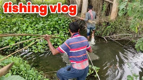 Jungle Fishing Vlog Daily Lifestyle Vlog Vlogs Youtube