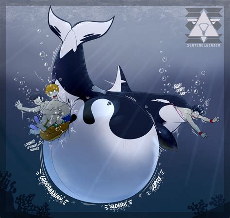 Rule 34 Artist Logo Belly Big Belly Black Body Black Hair Blonde Hair Blush Bubble Cetacean