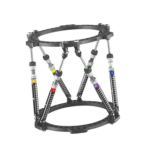 Taylor Frame With Two Rings Mlifer Ortho