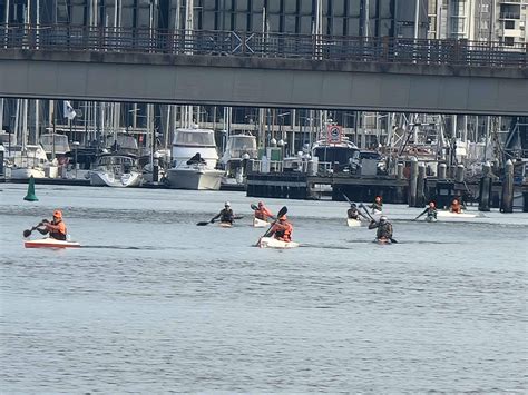 Newy Paddlers Mud Crab Cup Mcc Paddlensw
