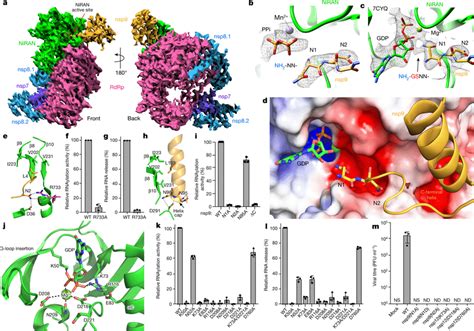 Structural And Genetic Insights Into Rna Capping By The Kinase
