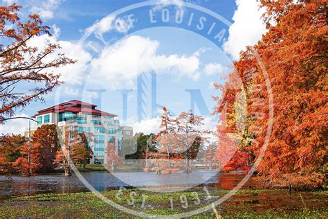 University Of Louisiana Monroe Fall Campus Scenery