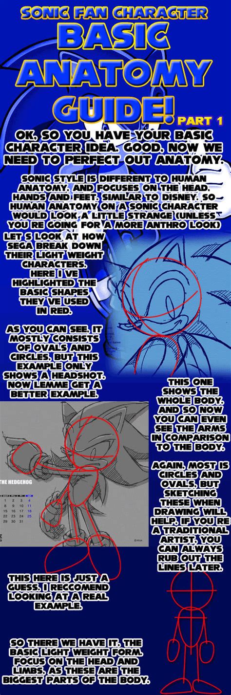 Sonic Anatomy Guide Part 1 By Artic Weather On Deviantart