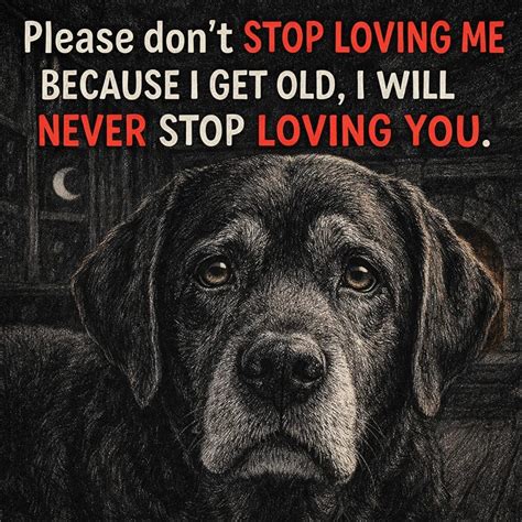 Cute Please Dont Love Me Less Just Because Im Getting Older Ill