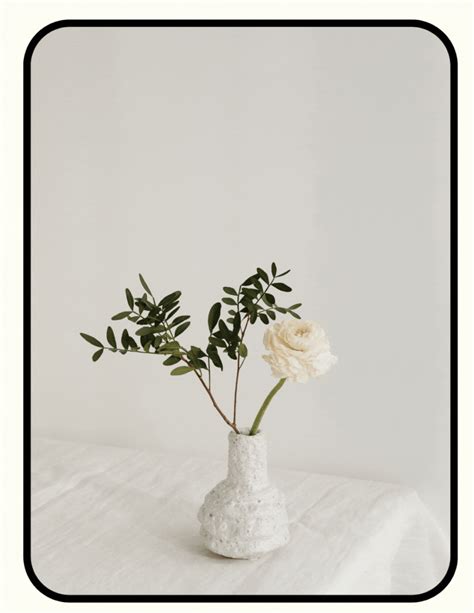 A Doctors Guide To The Best Organic Non Toxic Pillows 2023 — Interior