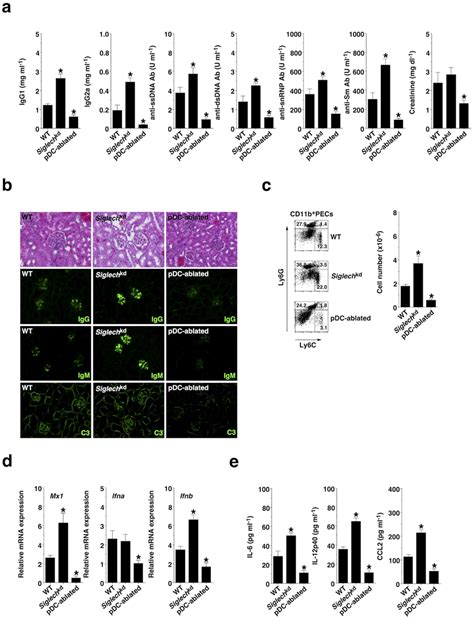 Pdcs Promote Pristane Induced Lupus Like Disease The Balbc Background Download Scientific
