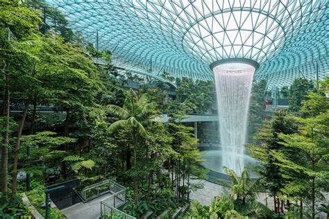 What Is A Biophilic Design The Gardener The Gardener