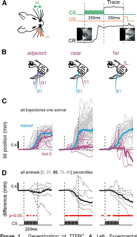 Figure 1 From Activity In Barrel Cortex Related To Trace Eyeblink