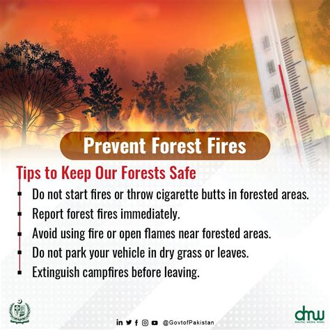 Prevent Forest Fires