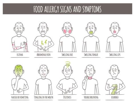 6600 Food Allergy Stock Illustrations Royalty Free Vector Graphics