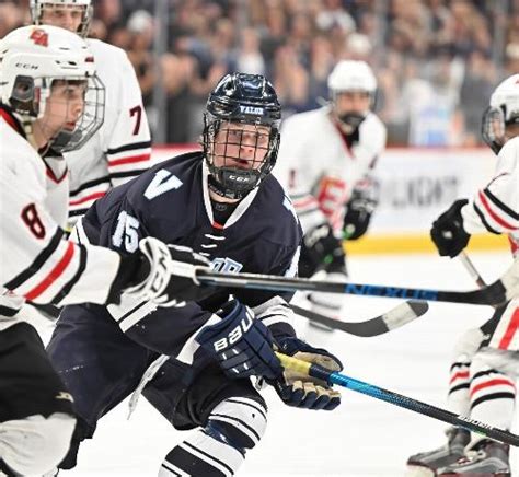 Brooks Wright Stats And Facts Elite Prospects