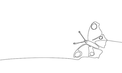 Premium Vector European Peacock Butterfly Line Art Silhouette One