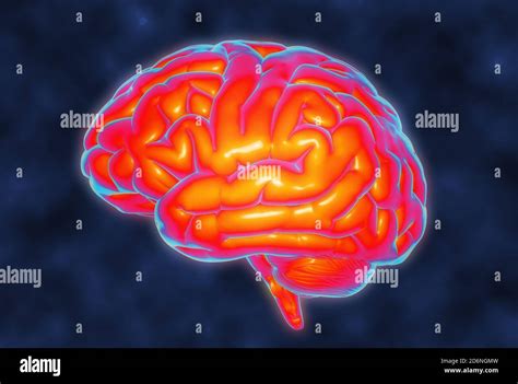 Brain Temperature Mri Simulation Illustration Isolated On Dark Blue