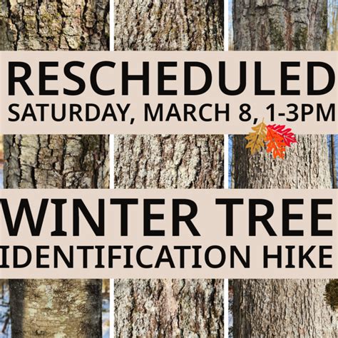 Winter Tree Identification Hike At Rider Park First Community Foundation Partnership