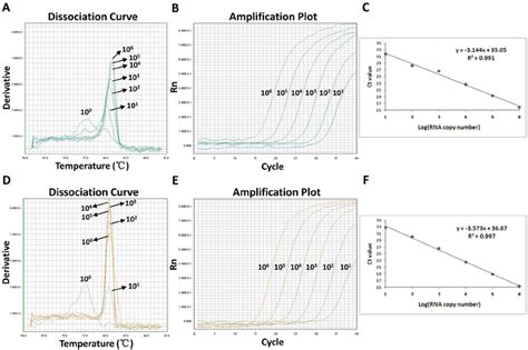 Detection Limit And Standard Curve The Detection Limit Was Determined