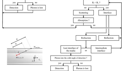 Photon Include Into The Solid Angle Of Detection Download