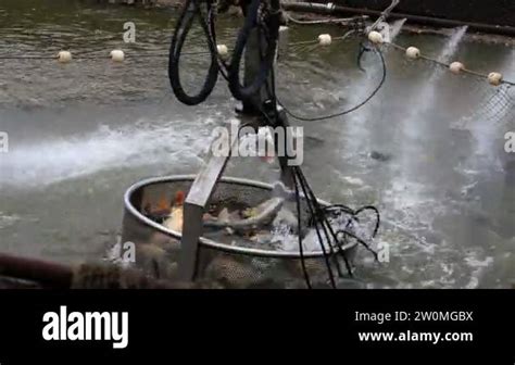 Boat Classification Stock Videos And Footage Hd And 4k Video Clips Alamy