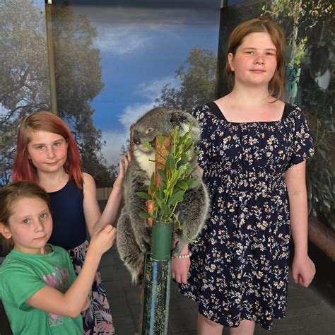 Vanessa Rayner Youtube