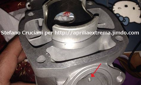 Il Rotax 123 Aprilia Extrema Enthusiasts
