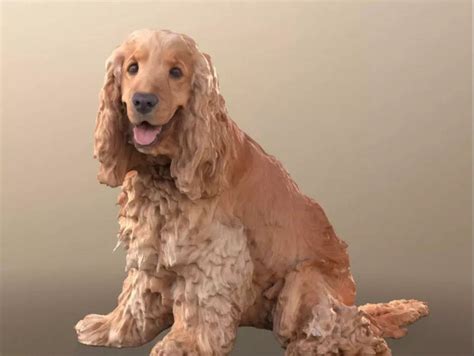 Download Curly Brown Dog Sitting Cocker Spaniel Low Poly 3d Model