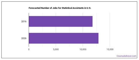 How To Become A Statistical Assistant And What Do They Do Course Advisor