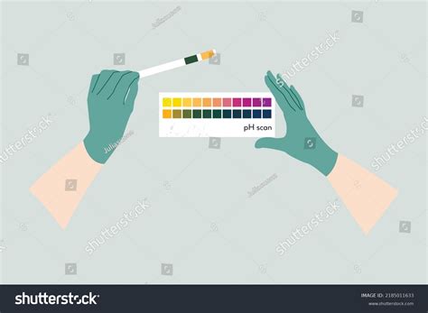 Reagent Test Strips Scientists Hand Glove Stock Vector Royalty Free
