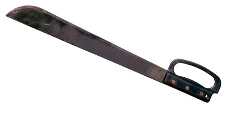 Teenager Uses Machete To Circumcise Himself After Friends Mocked Him And Said He Wouldn T