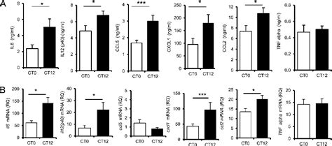 Hiv Rev Responsive Element Semantic Scholar