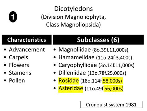 Ppt Field Botany Lecture 02 Dr Donald P Althoff Powerpoint
