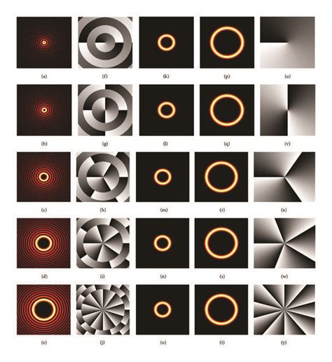 Simulations Of The Intensity Patterns And The Phase Structures For