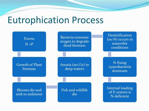 Ppt Eutrophication In Water Bodies Powerpoint Presentation Free