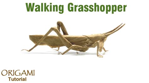 Origami Grasshopper Tips For Creating 3d Origami New User