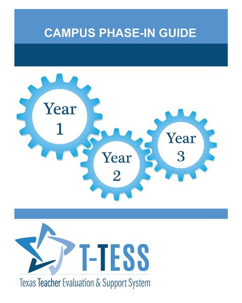 What Are The 5 Elements The T Tess Measures About Instruction At Fred