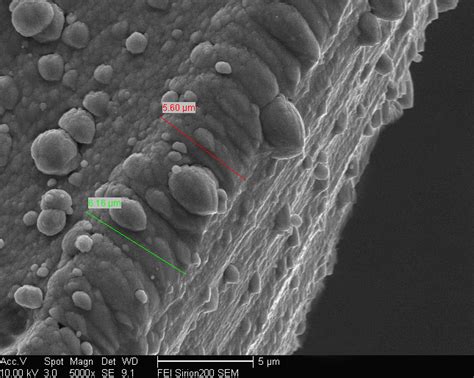 Radius Of The Radial Cutting Edge By Sem See Online Version For