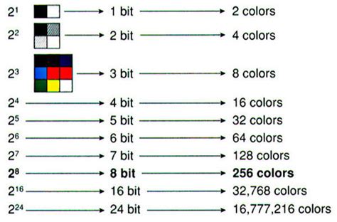 Sampling Coding And Compression Flashcards Quizlet