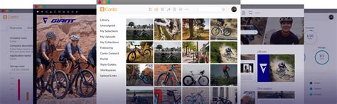 Canto The Leader In Digital Asset Management Solutions