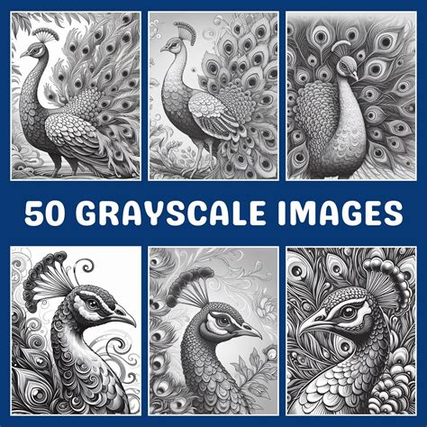 Peacock Paradise Grayscale Coloring Book Wild About Animals Digital
