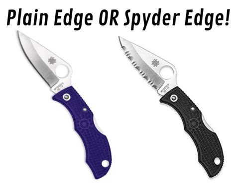 Spyderco Manbug Vs Ladybug [which Knife Is Best For You] Knife Trackers