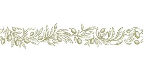 Olive Leaf Border Vectors And Illustrations For Free Download Freepik