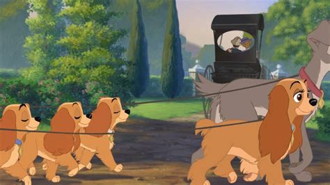 The Regular Cocker Spaniel Annettegalleryanimation Screencaps The