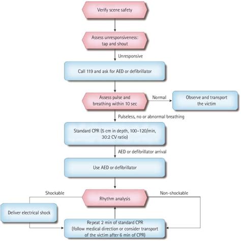 2020 Basic Life Support Algorithm For Adult Out Of Hospital Cardiac