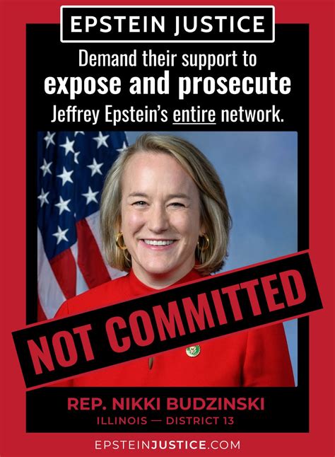 Nikki Budzinski Epstein Justice