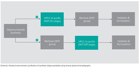 Purification Of Oligonucleotides With Polymeric Reverse Phase Hplc