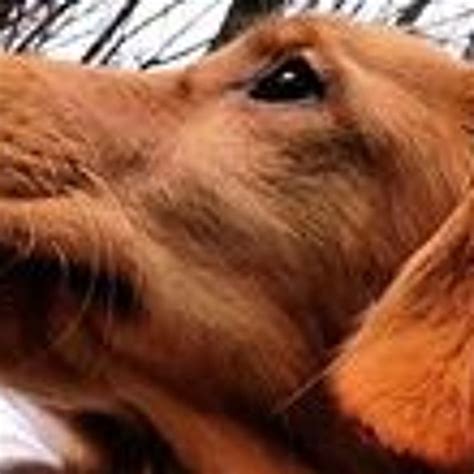 Stream Kaitlyn Williams 17 Music Listen To Songs Albums Playlists For Free On Soundcloud